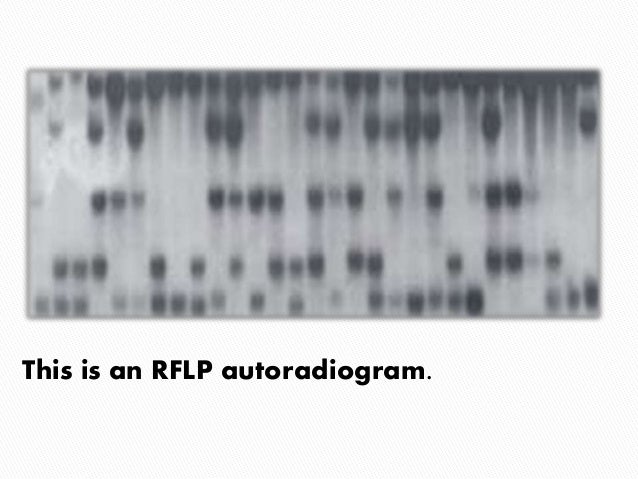 Rflp technology