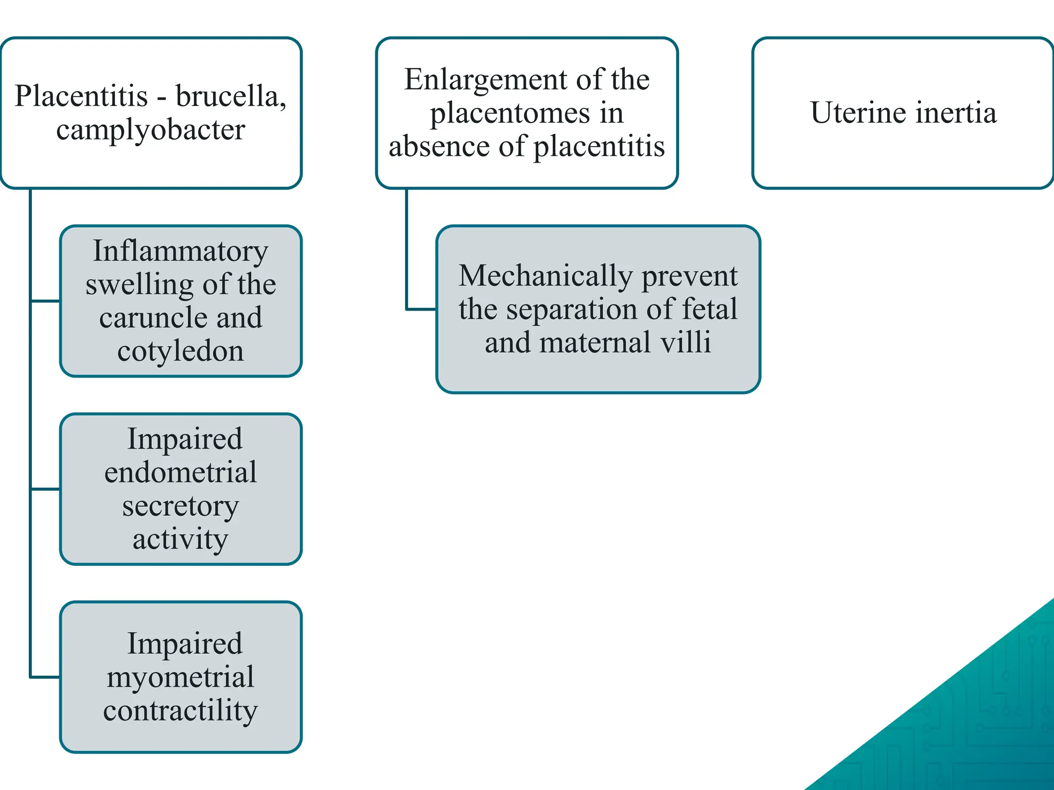 Retention of Fetal membranes of domestic animals.pptx