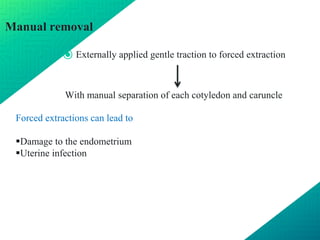 Retention of Fetal membranes of domestic animals.pptx