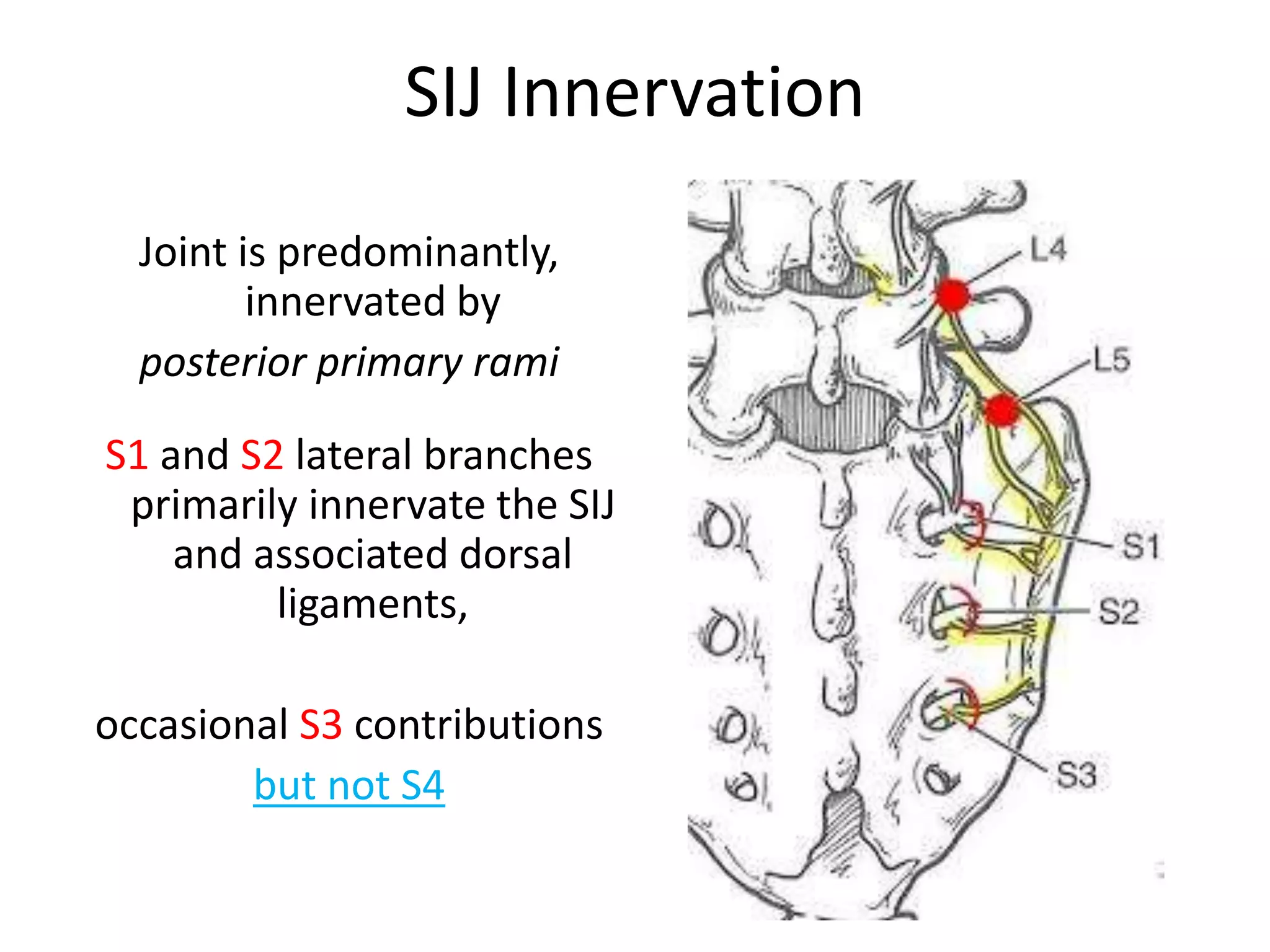 Sacroiliac Joint RF Denervation | PPTX