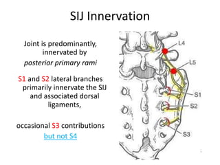 Sacroiliac Joint RF Denervation | PPT