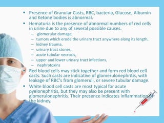 RENAL FUNCTION- | PDF | Medical Tests | Medical Health