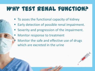 RENAL FUNCTION- | PPT
