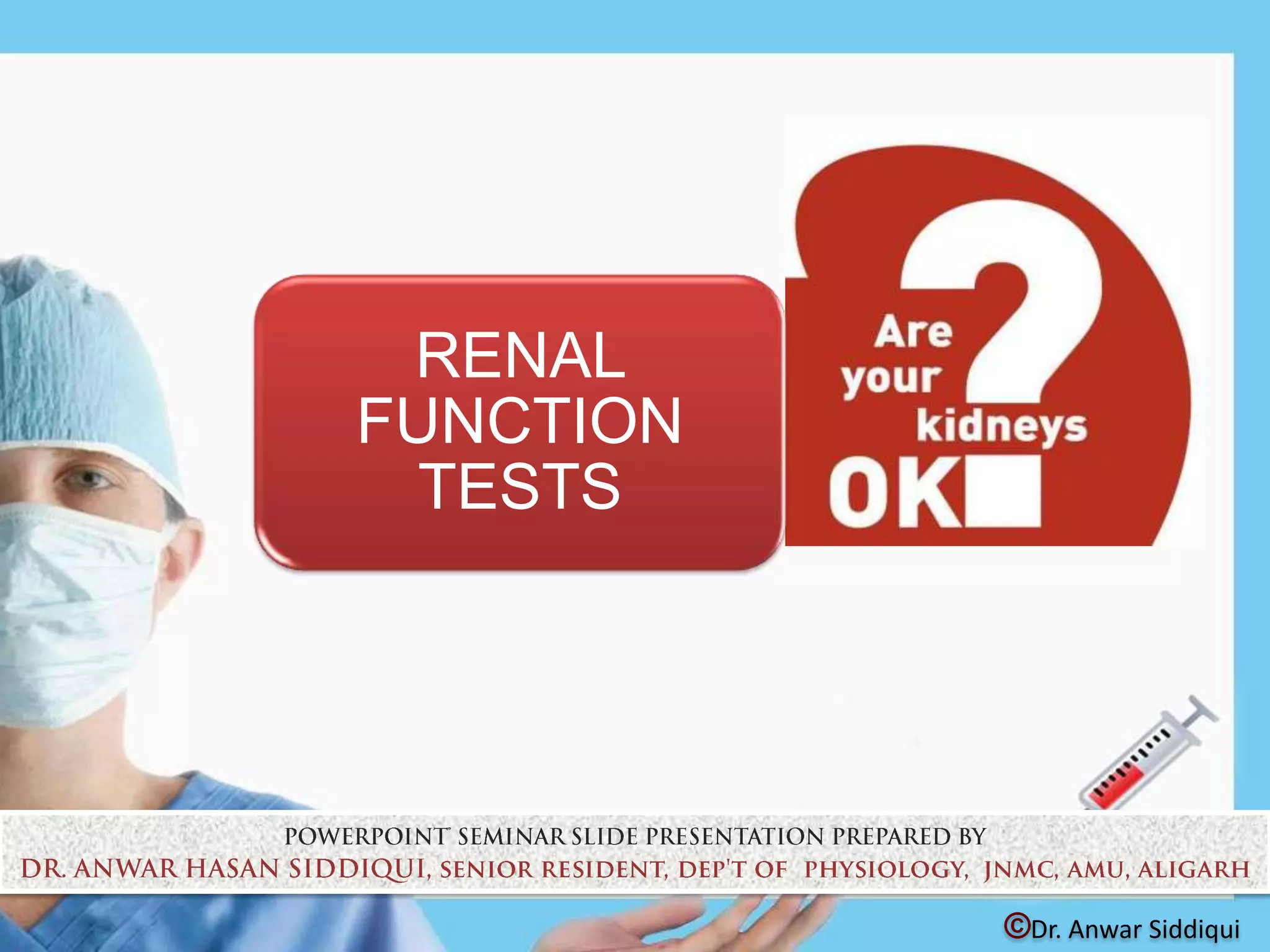 Renal Function Test | PPTX