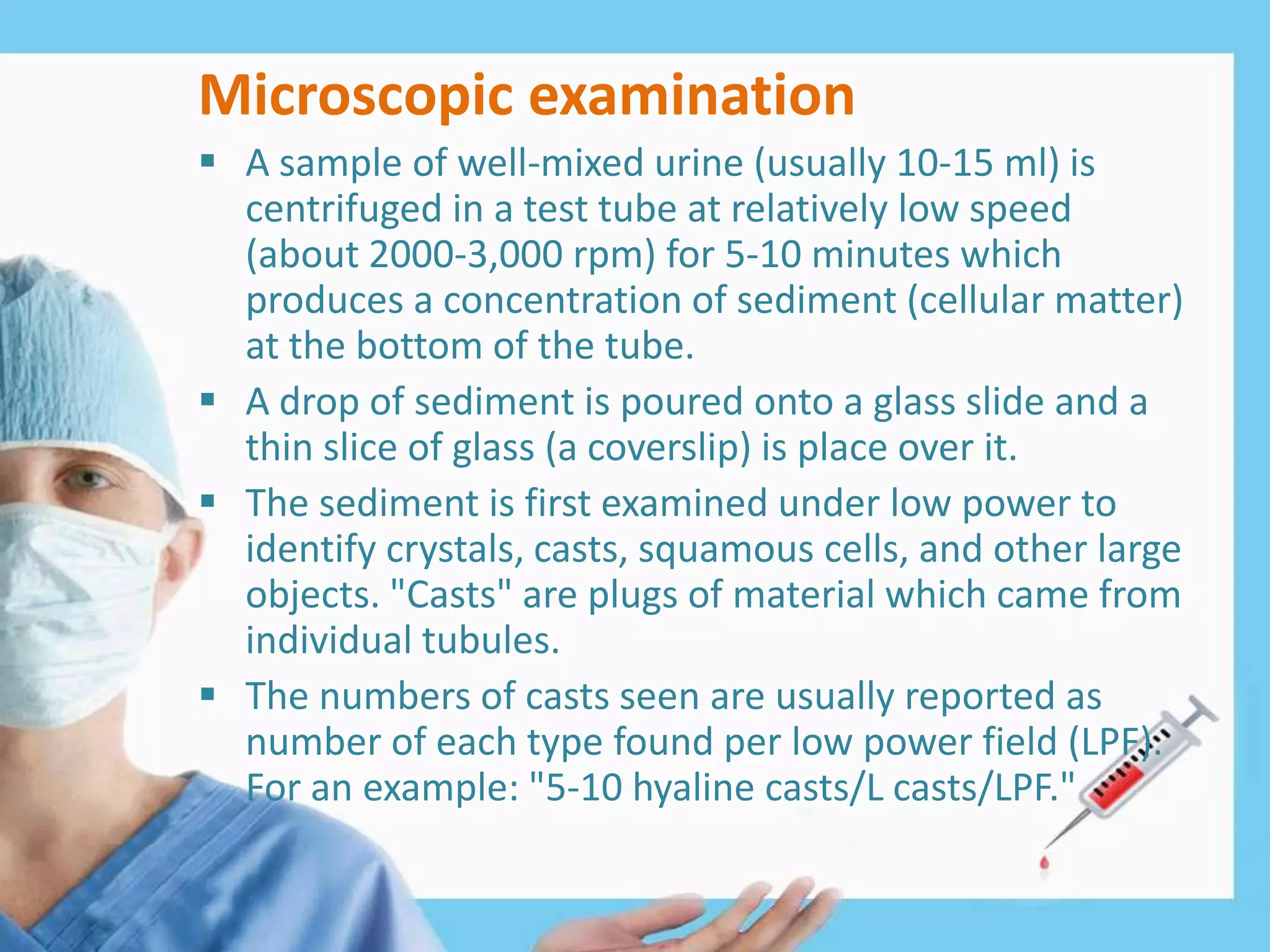 Renal Function Test | PPTX
