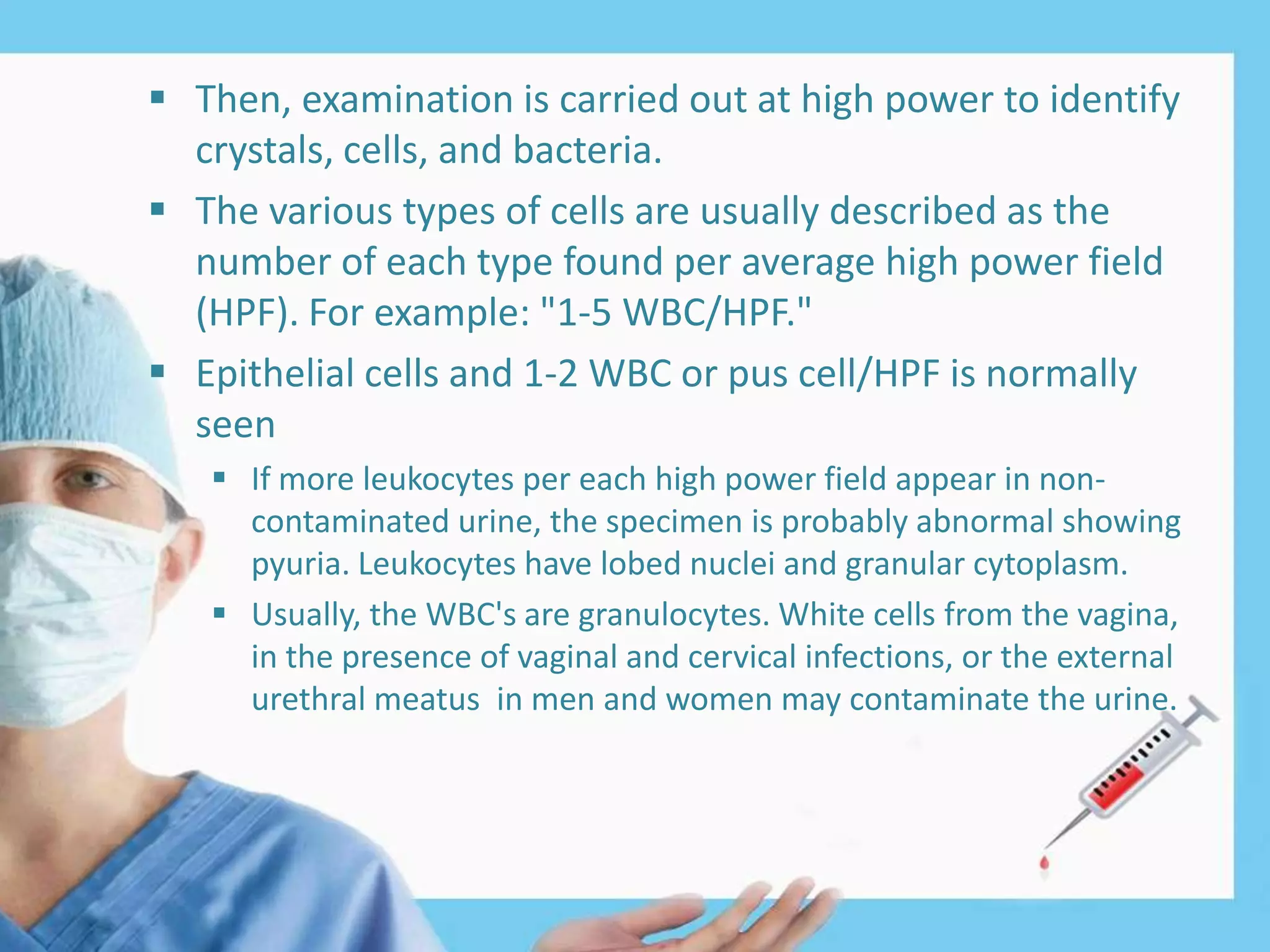 Renal Function Test | PPTX