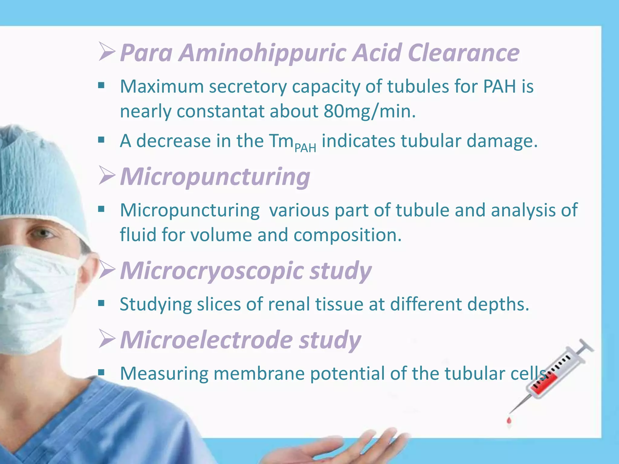 Renal Function Test | PPTX