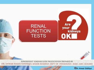 Renal Function Test | PPTX