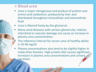 Renal Function Test | PPTX
