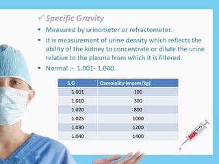Renal Function Test | PPTX