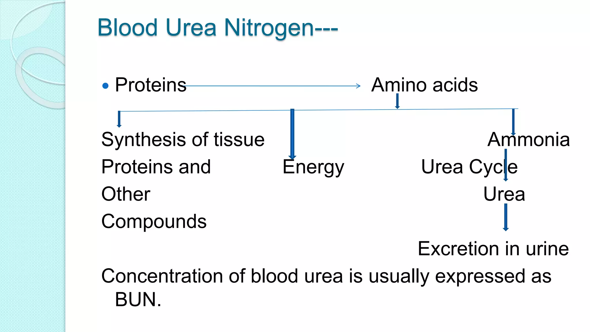 renal Function Test | PPTX