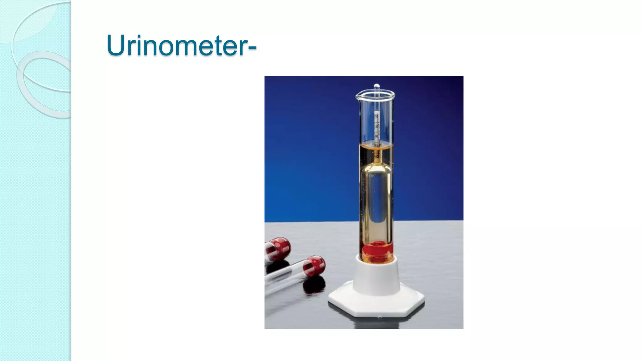 renal Function Test | PPTX