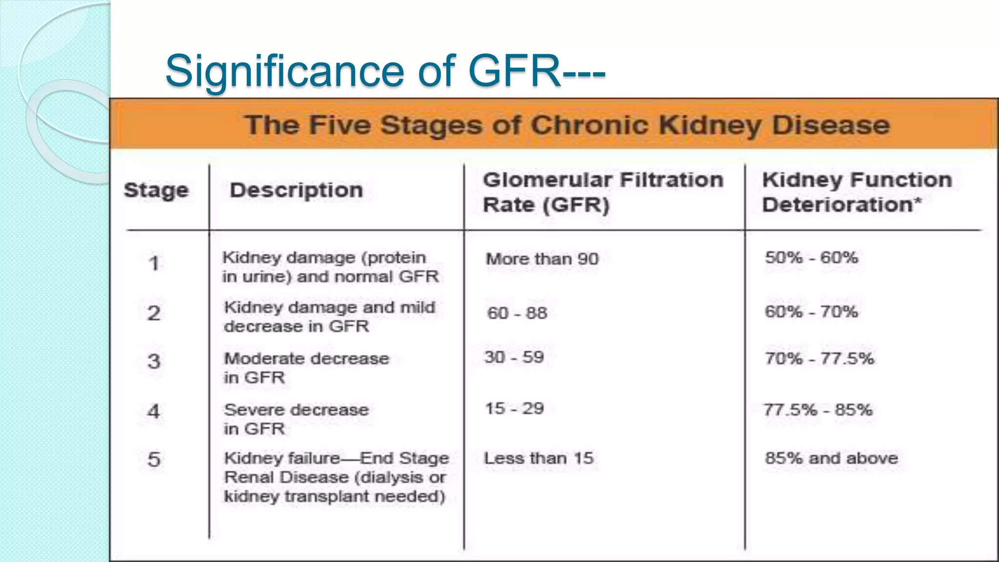 renal Function Test | PPTX