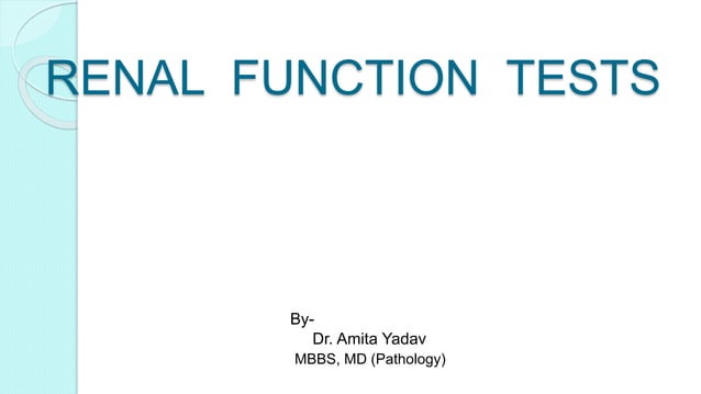 renal Function Test | PPTX