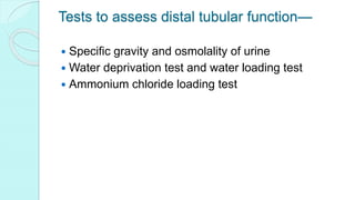 renal Function Test | PPTX