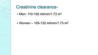renal Function Test | PPTX