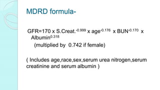renal Function Test | PPTX