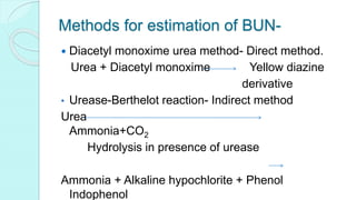 renal Function Test | PPTX