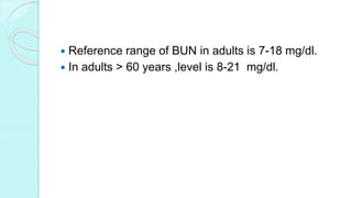 renal Function Test | PPTX