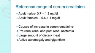 renal Function Test | PPTX