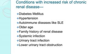 renal Function Test | PPTX