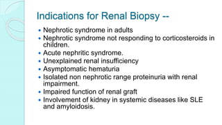 renal Function Test | PPTX