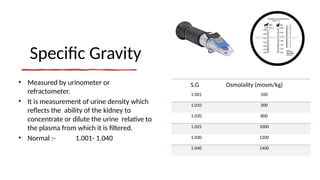 RFT.pptx Renal function tests are divided into the following Urine ...