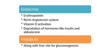 RFT.pptx Renal function tests are divided into the following Urine ...