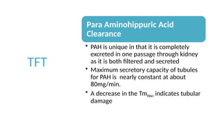 RFT.pptx Renal function tests are divided into the following Urine ...