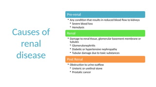 RFT.pptx Renal function tests are divided into the following Urine ...