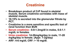 Renal function test biochem bl.11.6 .ppt