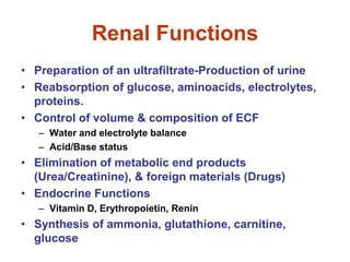 Renal function test biochem bl.11.6 .ppt