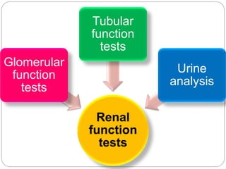 renal function tests by Dr siva kumar | PPTX | Lung and Respiratory ...
