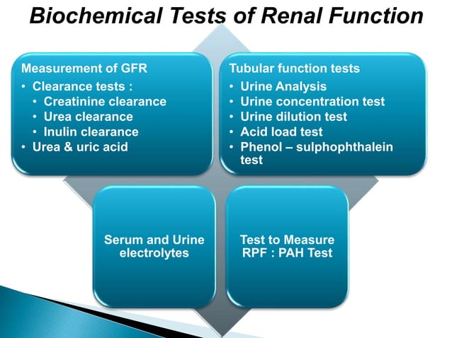 RENAL FUNCTION TESTS | PPTX