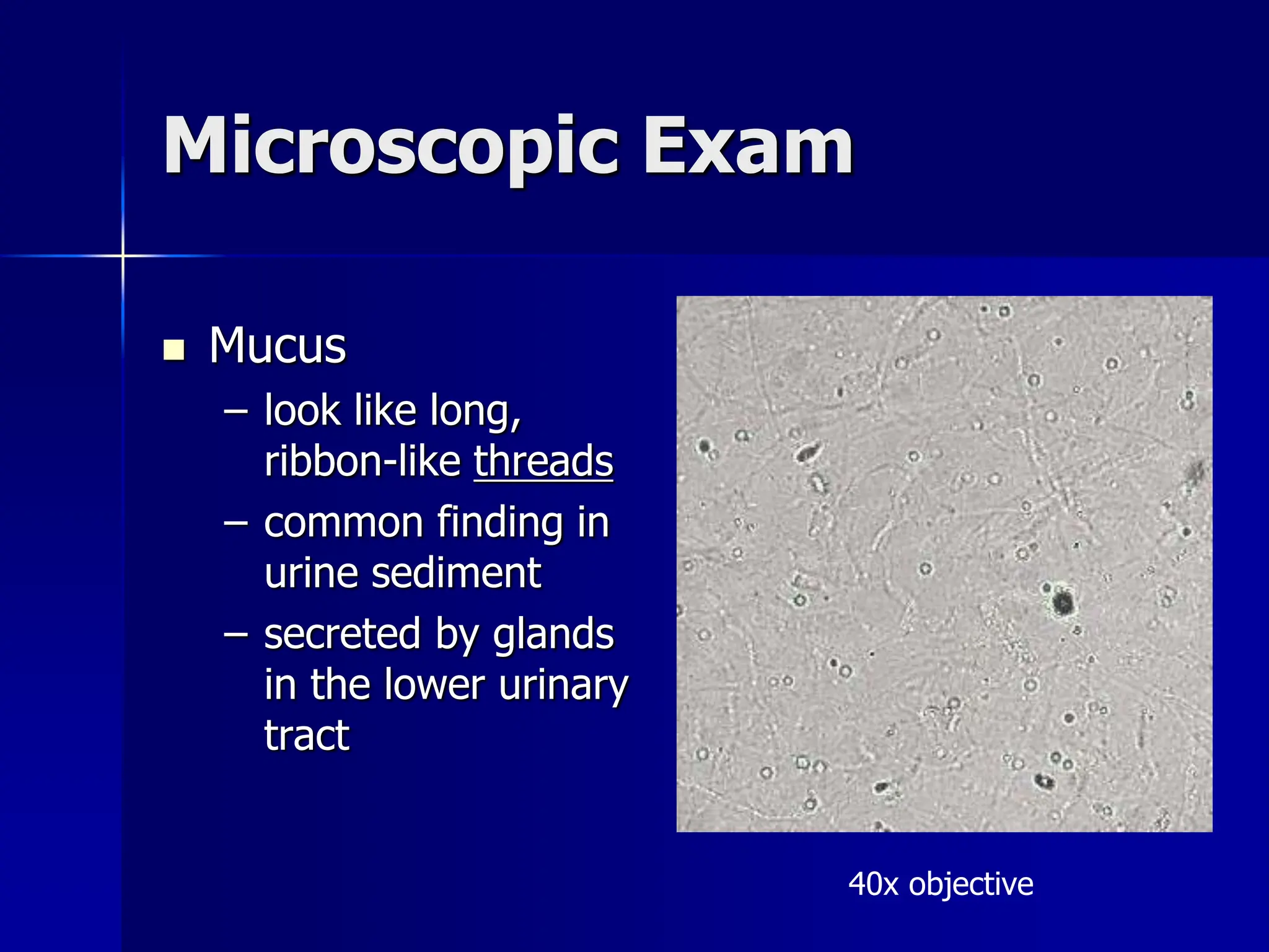 RFT Lecture Presentation by kamarudheen | PPT