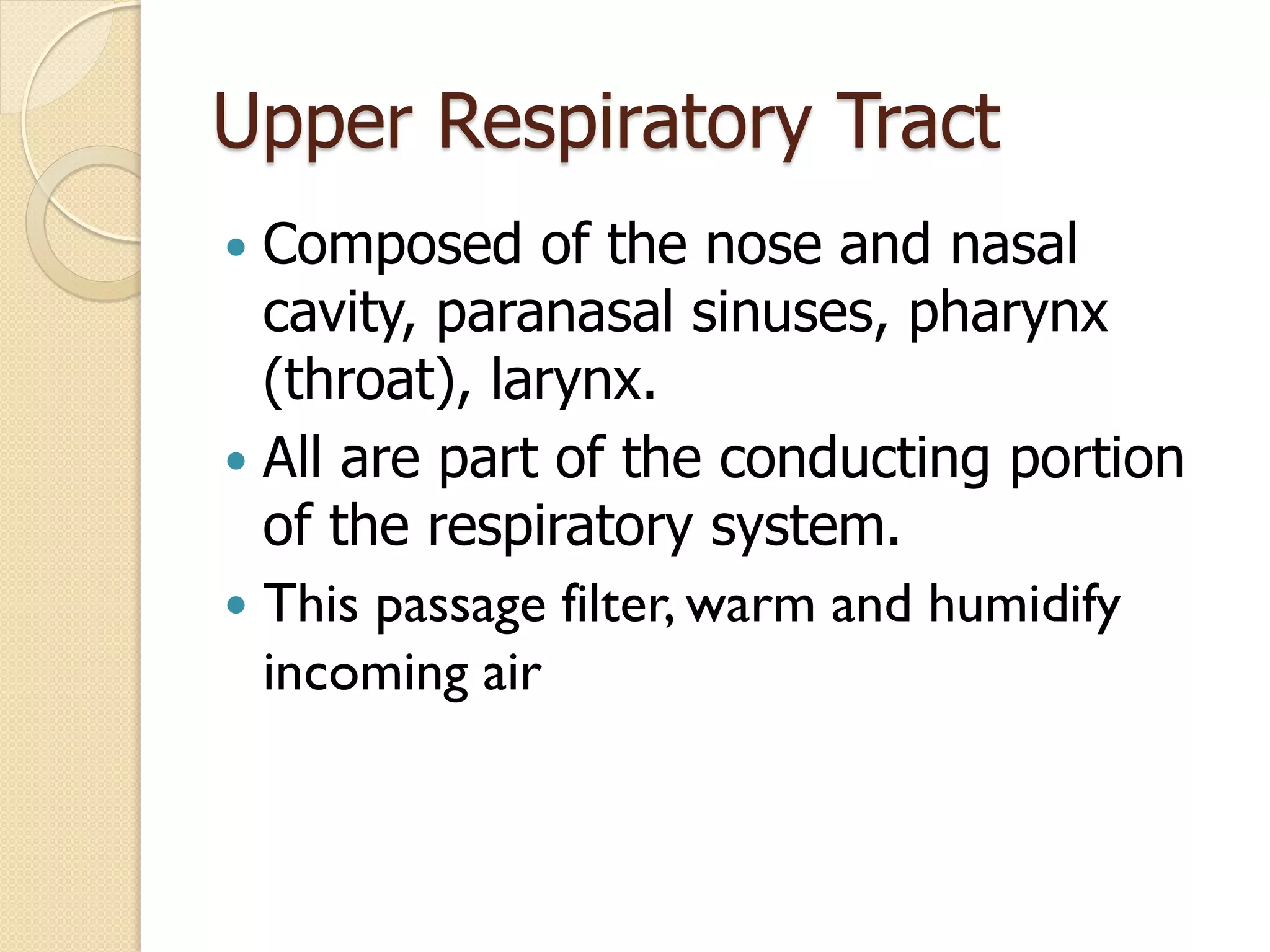 Respiratory System - Human Anatomy and Physiology bPharm | PDF
