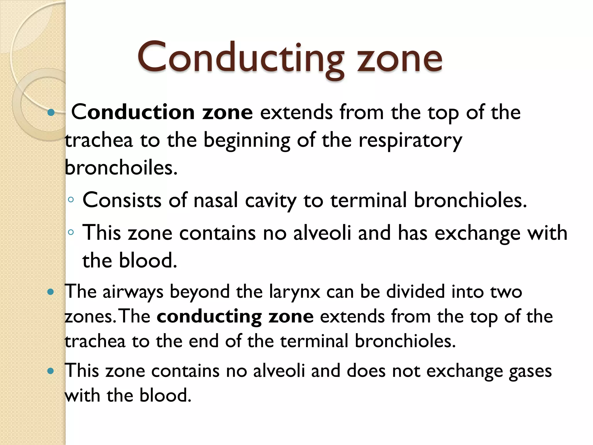 Respiratory System - Human Anatomy and Physiology bPharm | PDF