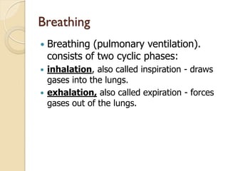 Respiratory System - Human Anatomy and Physiology bPharm | PDF