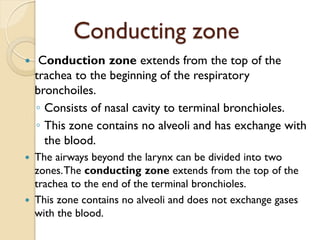 Respiratory System - Human Anatomy and Physiology bPharm | PDF
