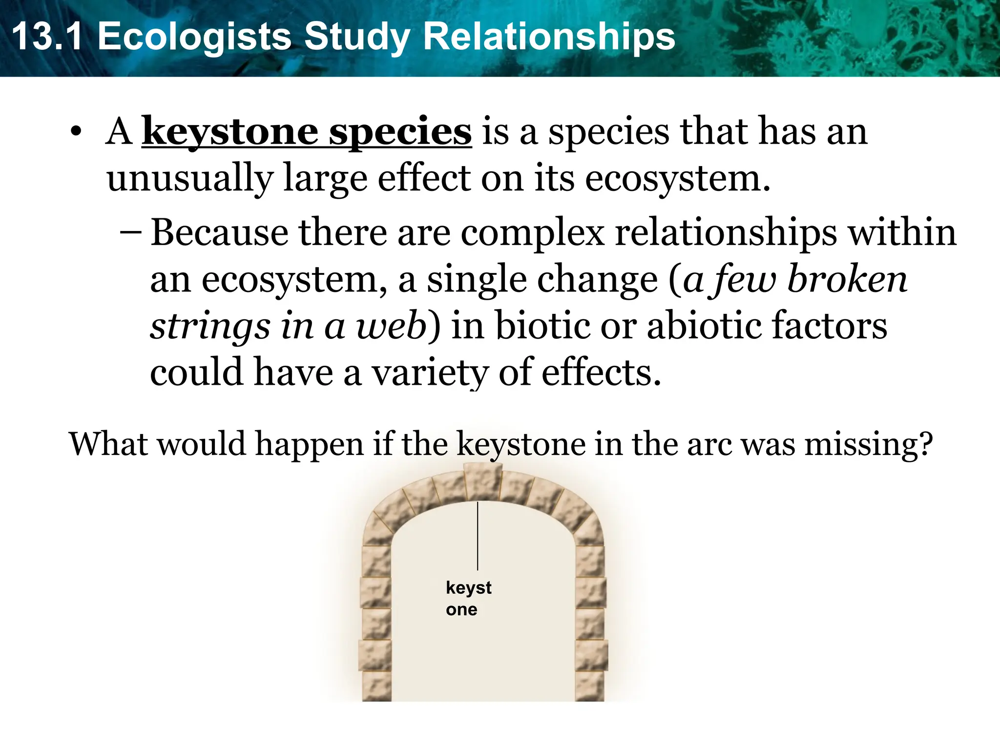 Ecologists Study Relationship_PowerPoint.ppt.pptx