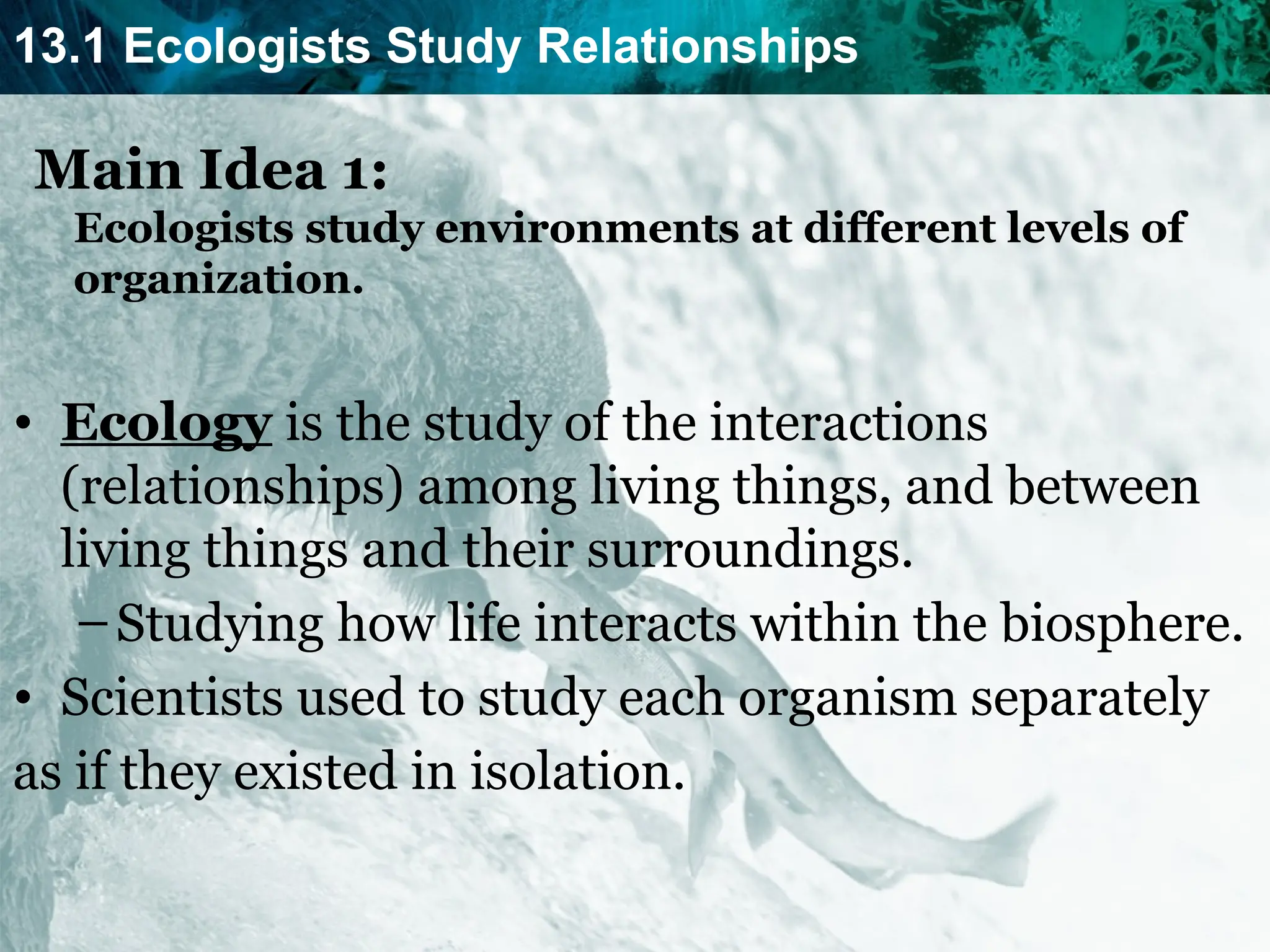 Ecologists Study Relationship_PowerPoint.ppt.pptx