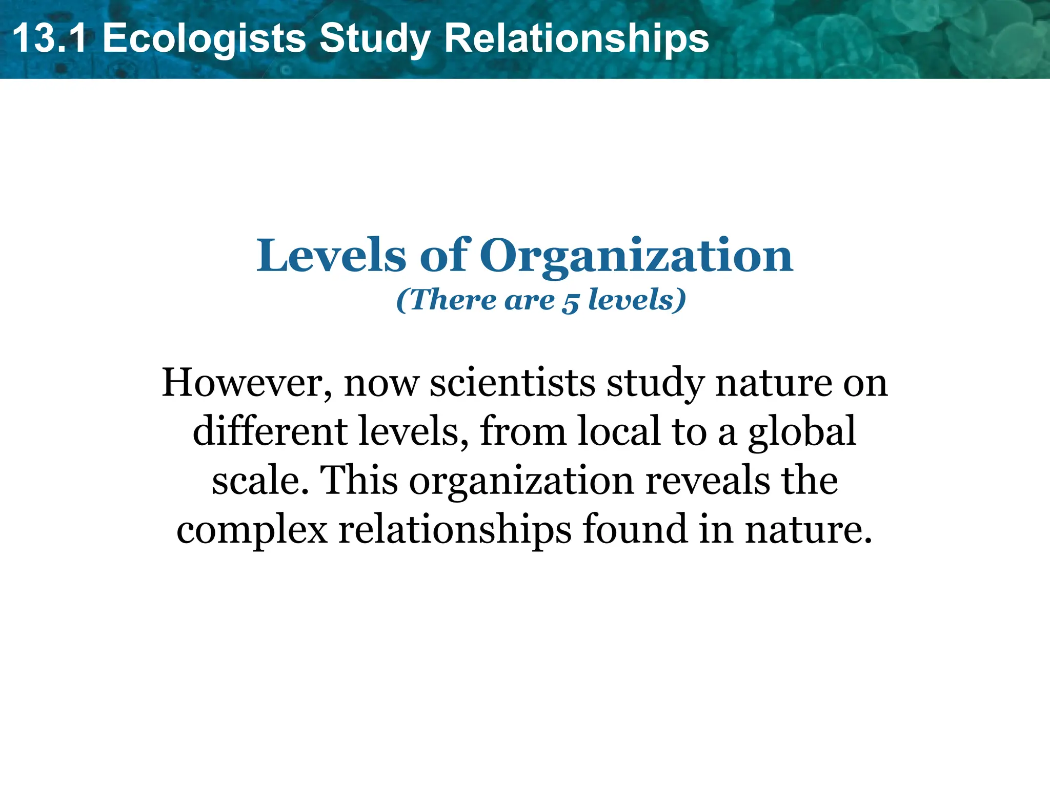 Ecologists Study Relationship_PowerPoint.ppt.pptx