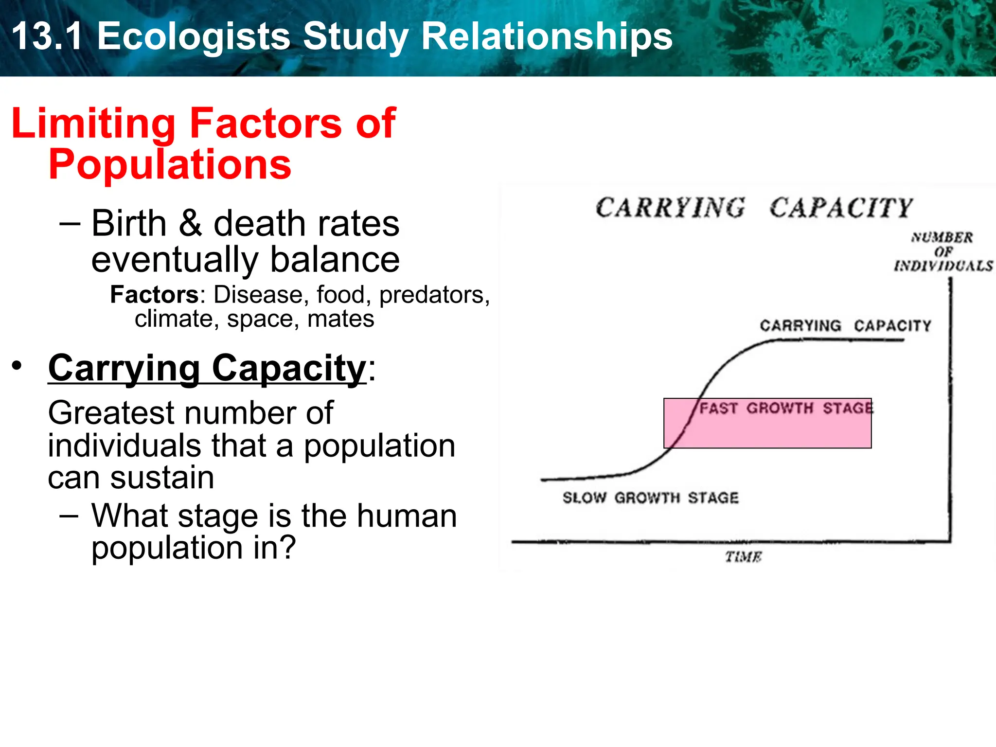 Ecologists Study Relationship_PowerPoint.ppt.pptx