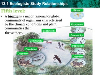 Ecologists Study Relationship_PowerPoint.ppt.pptx | Biological Sciences ...