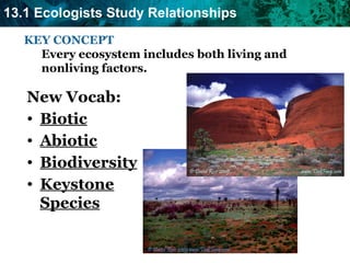 Ecologists Study Relationship_PowerPoint.ppt.pptx | Biological Sciences ...