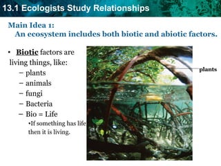 Ecologists Study Relationship_PowerPoint.ppt.pptx | Biological Sciences ...