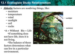 Ecologists Study Relationship_PowerPoint.ppt.pptx | Biological Sciences ...
