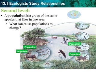 Ecologists Study Relationship_PowerPoint.ppt.pptx | Biological Sciences ...