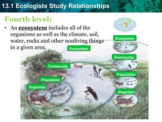 Ecologists Study Relationship_PowerPoint.ppt.pptx | Biological Sciences ...