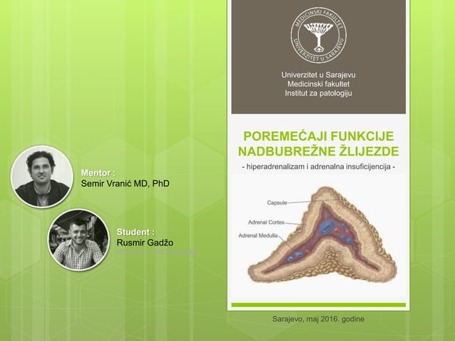 Poremećaji funkcije nadbubrežne žlijezde | PPTX
